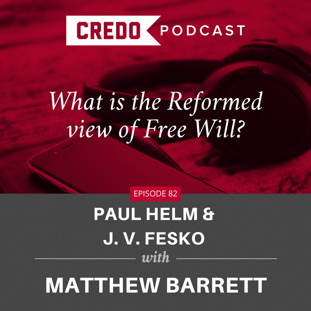 What is the Reformed View of Free Will? - Credo Magazine