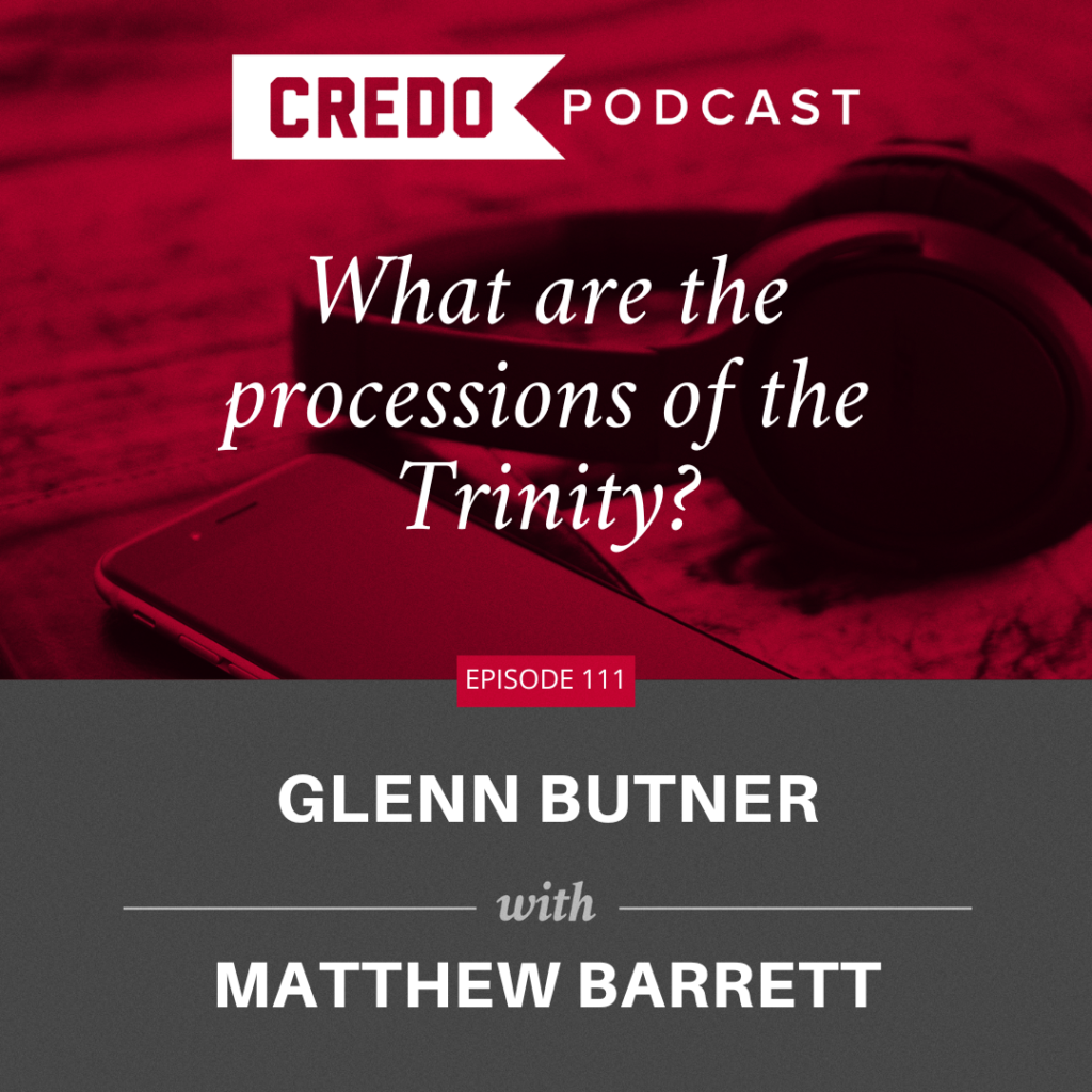 What are the processions of the Trinity? Glenn Butner and Matthew ...