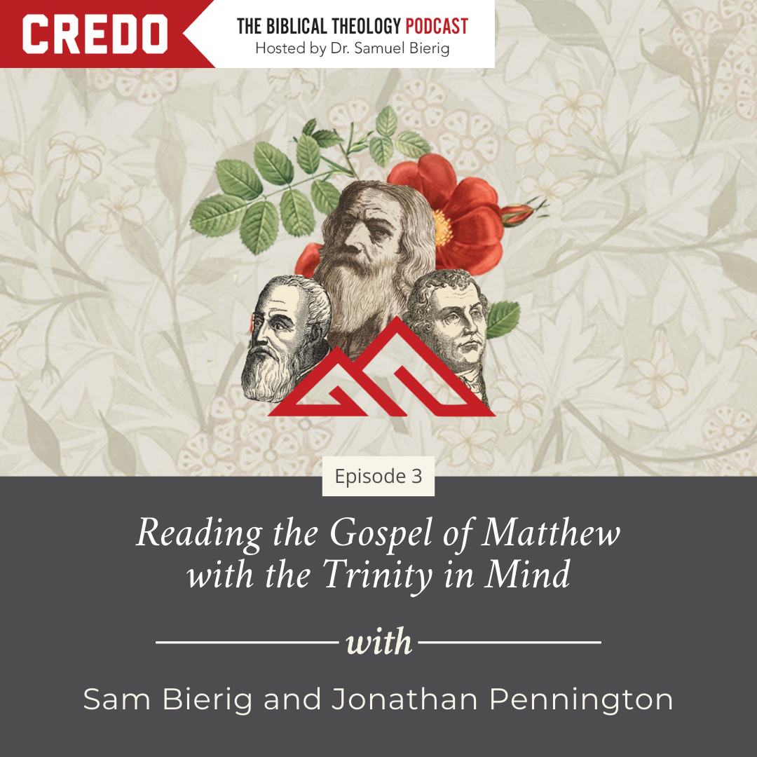Reading the Gospel of Matthew with the Trinity in Mind - Credo Magazine